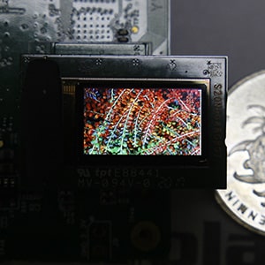 BOE Concentrate On The Development of Fast LCD and LTPO For VR - OLED/LCD Supplier