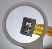 News - Panox Display Professional Oled Supplier - Panox Display ...